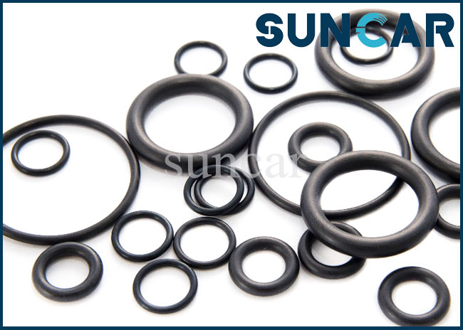 AS Series O Ring Service Kit For Sealing